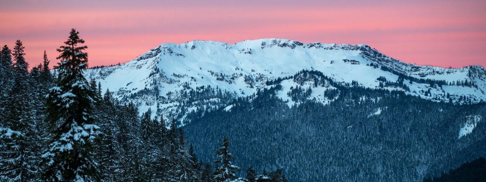 Mountain Cams | White Pass Ski Area